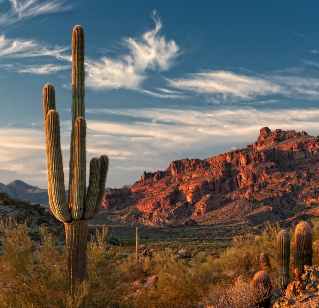 Contact Us - Wayward Medical